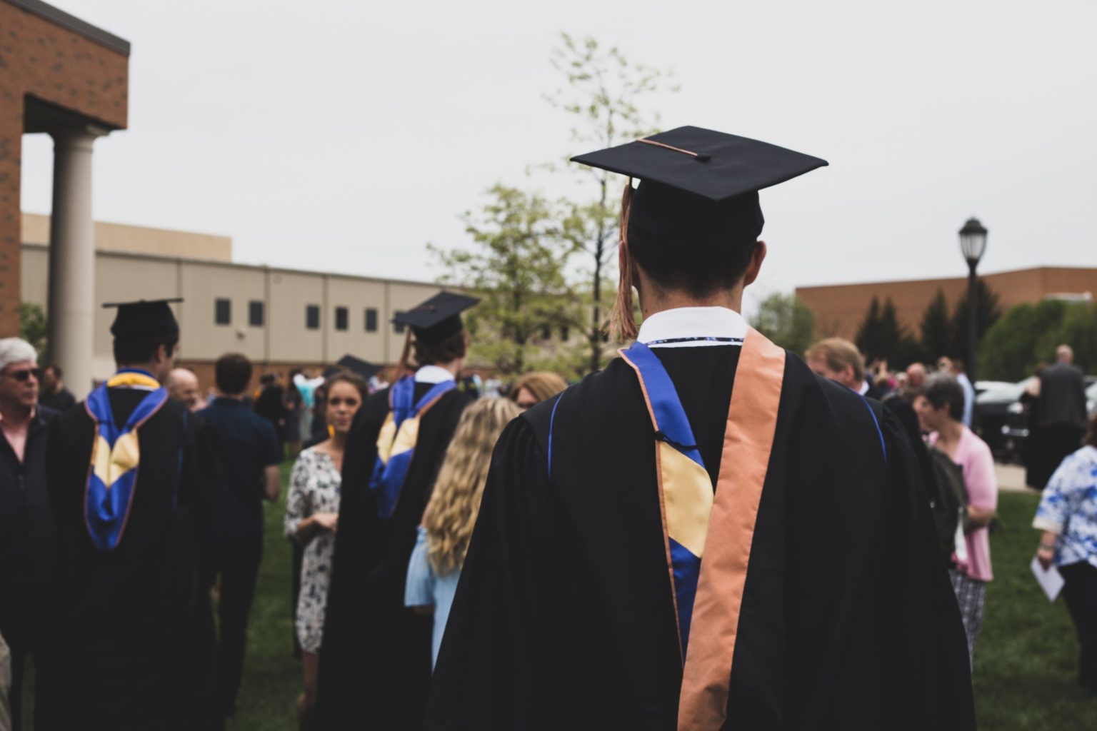 A sophomore is an undergraduate student in their second year of college.